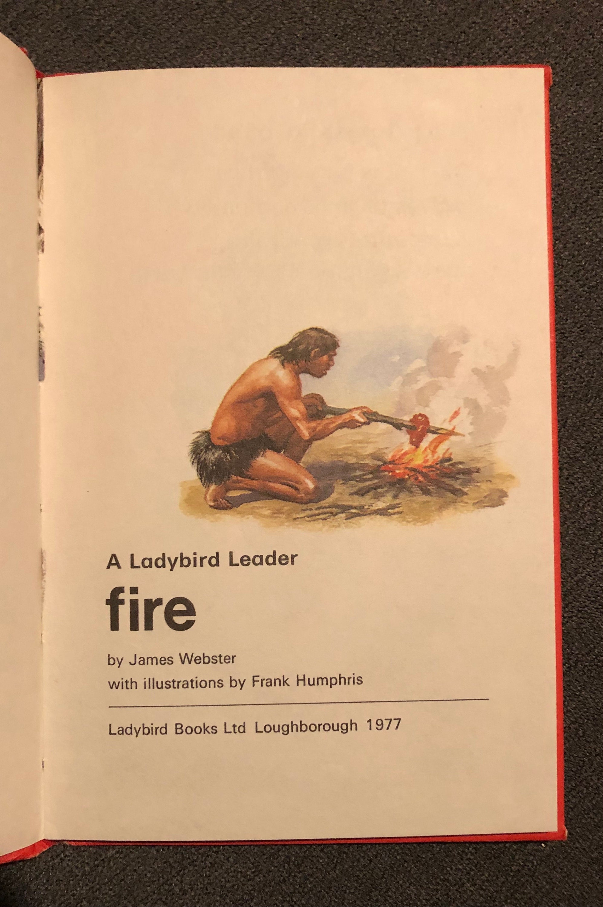 Vintage Ladybird Book - Fire. 1977. - Etsy