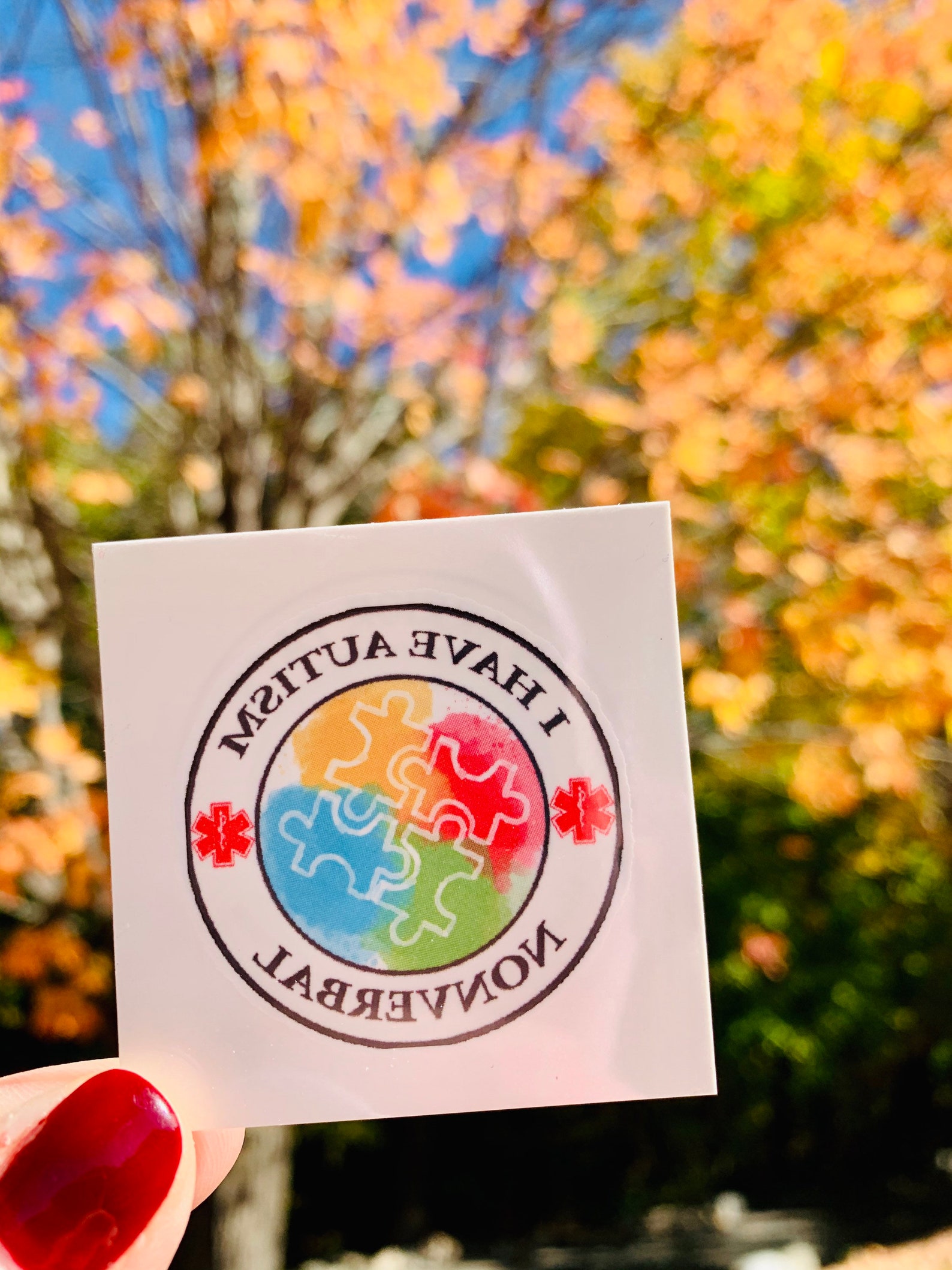 I Have Autism- Nonverbal- Medical Alert Temporary Tattoo - Etsy