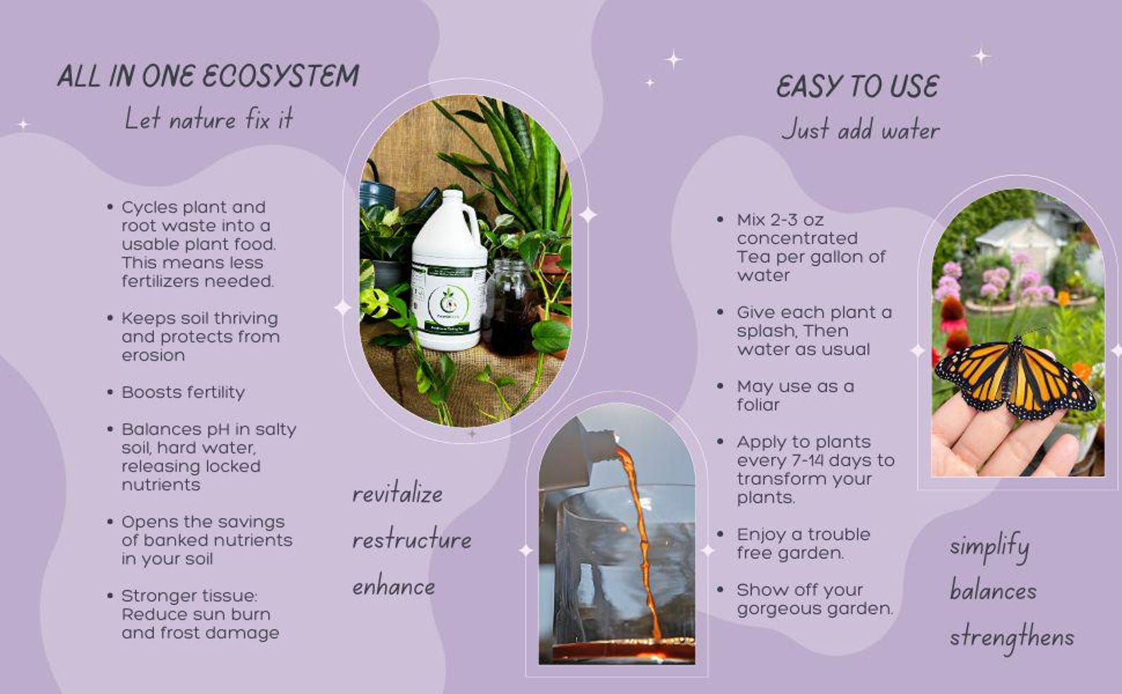 Vermisterra Organic Worm Tea - Vermicompost Microbial Soil and Plant ...