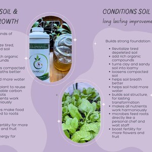 Vermisterra Organic Worm Tea - Vermicompost Microbial Soil and Plant ...