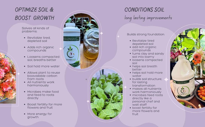 Vermisterra Organic Worm Tea - Vermicompost Microbial Soil and Plant ...