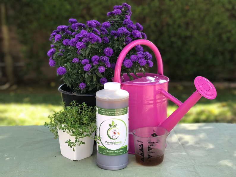 Vermisterra Organic Worm Tea - Vermicompost Microbial Soil and Plant ...