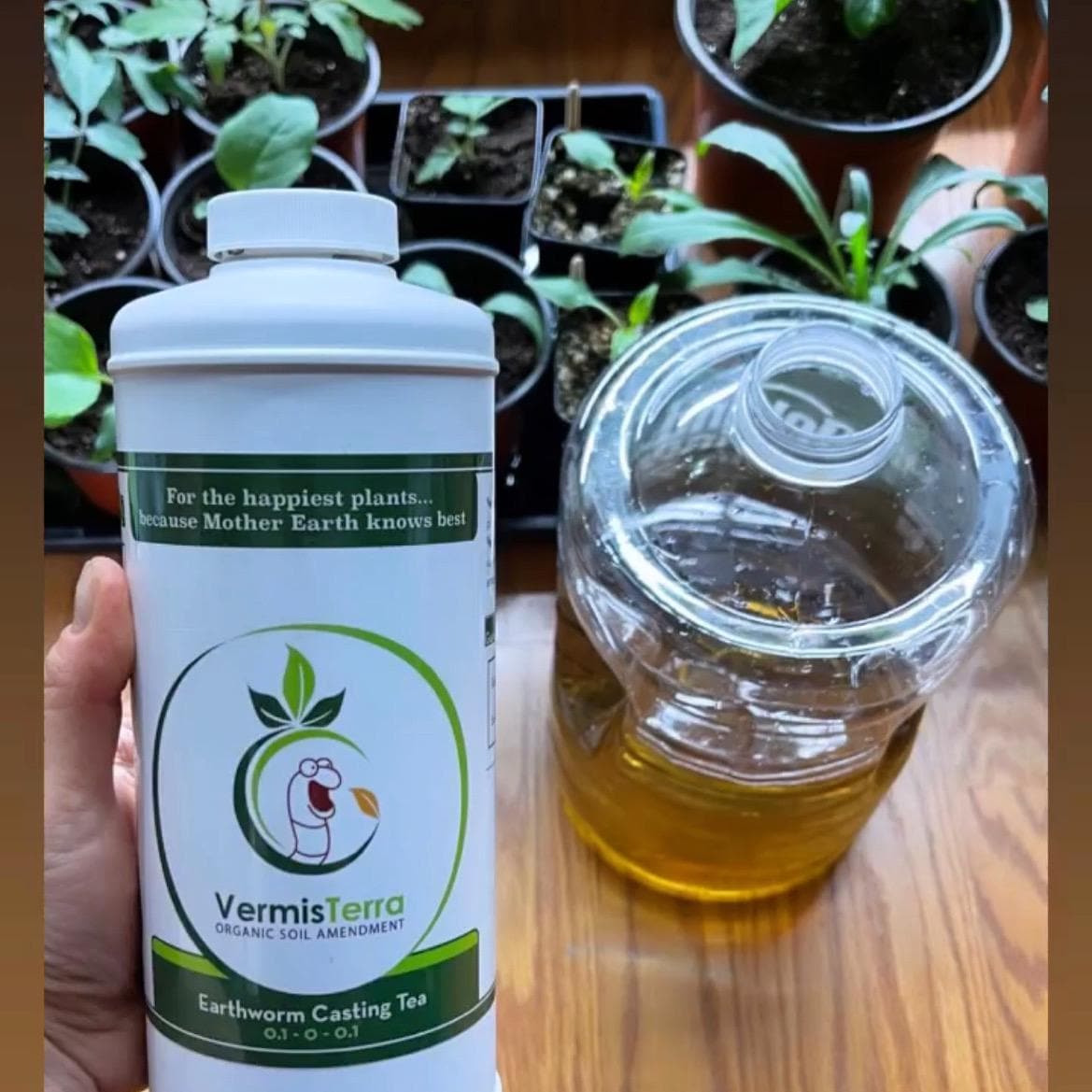 Vermisterra Organic Worm Tea - Vermicompost Microbial Soil and Plant ...