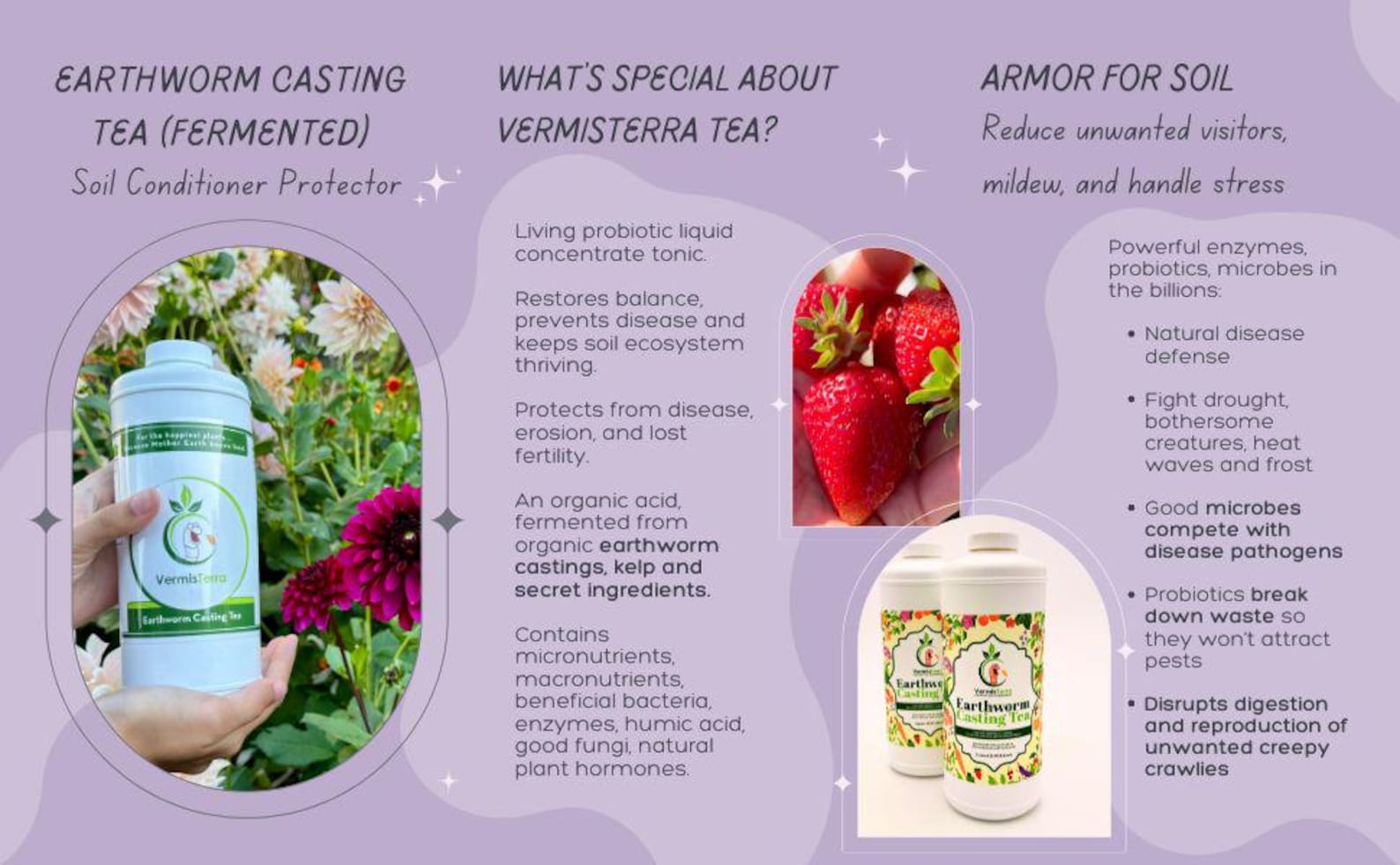 Vermisterra Organic Worm Tea - Vermicompost Microbial Soil and Plant ...
