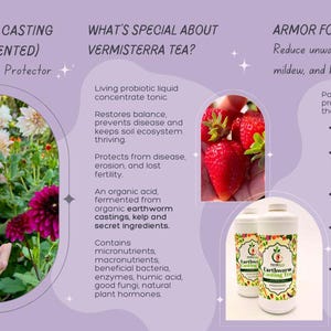Vermisterra Organic Worm Tea - Vermicompost Microbial Soil and Plant ...