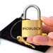Picolock - Good Things Come in Small Packages - Etsy Canada