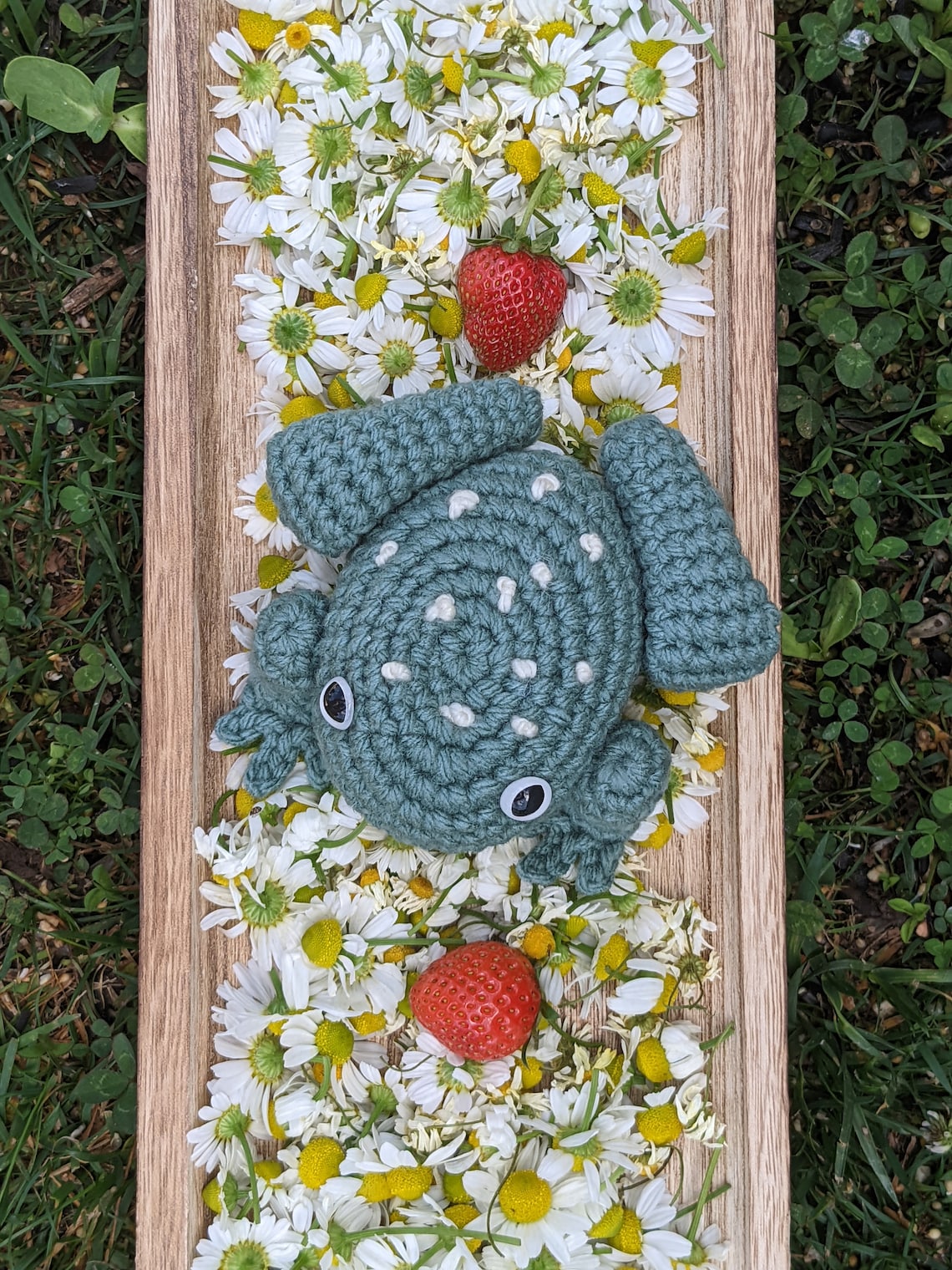 Toad Familiar Crochet Pattern - Etsy