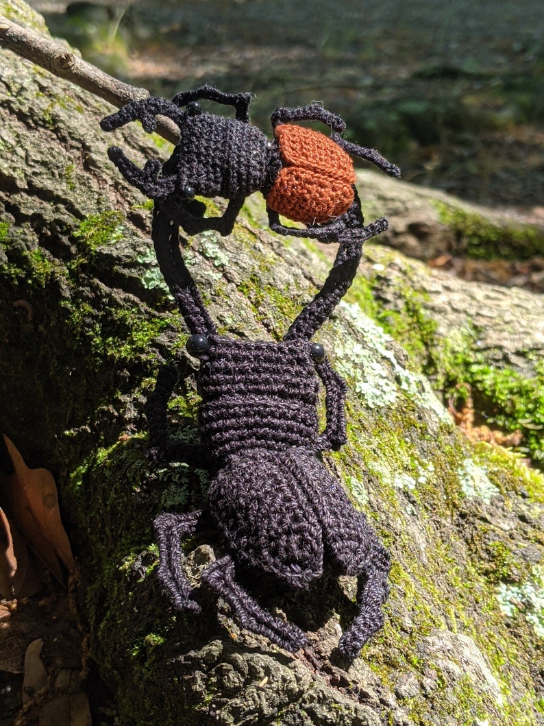 Stag Beetle - Amigurumi Crochet Pattern - Etsy
