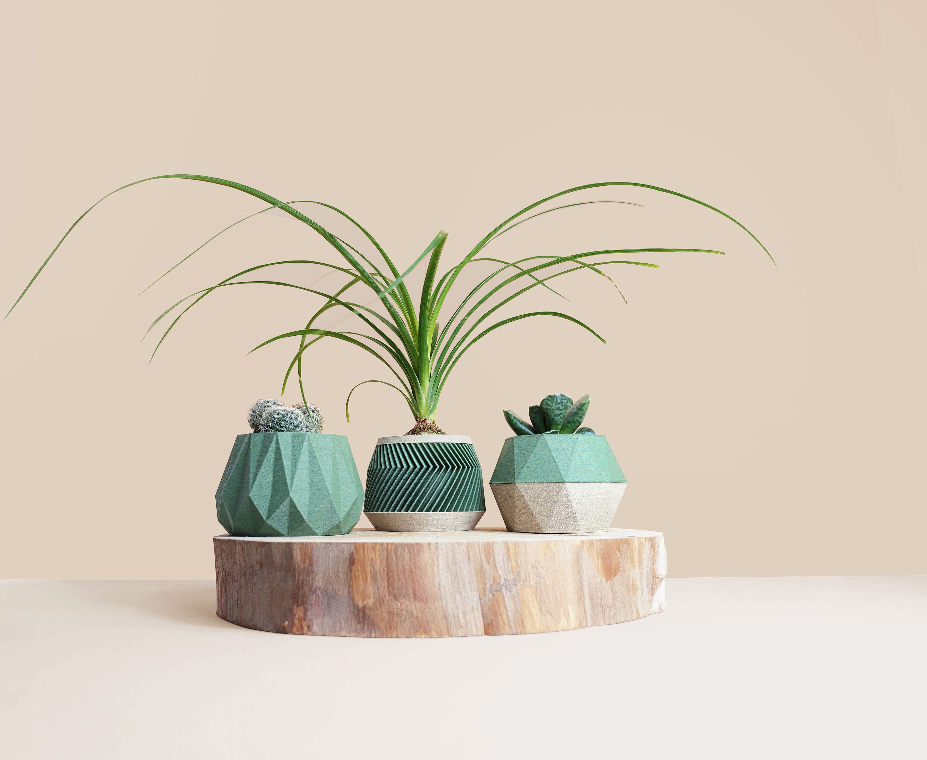 Set of 3D Printed Cactus Planters, Succulent Planters, Mid Century ...