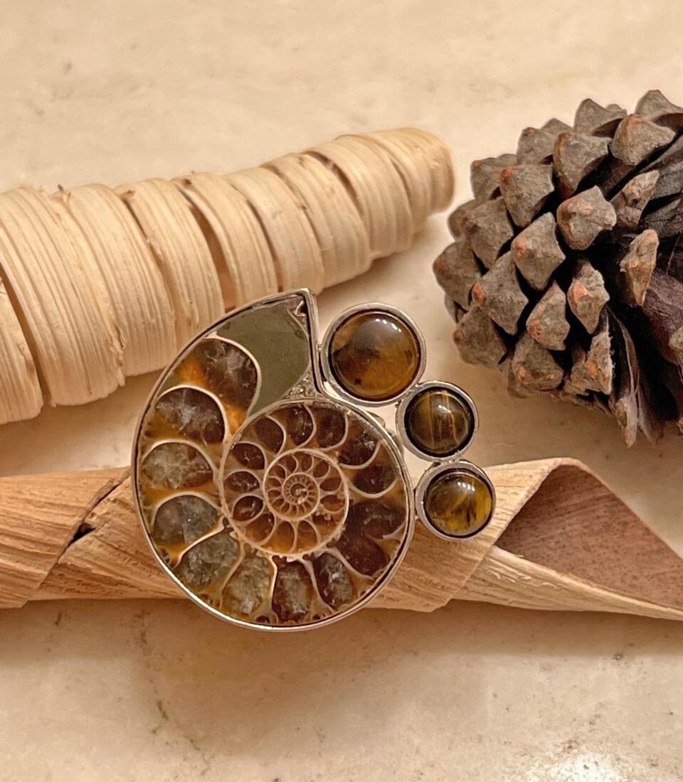 Unique Ammonite Fossil, Tiger Eye Ring A Story to Tell - Etsy