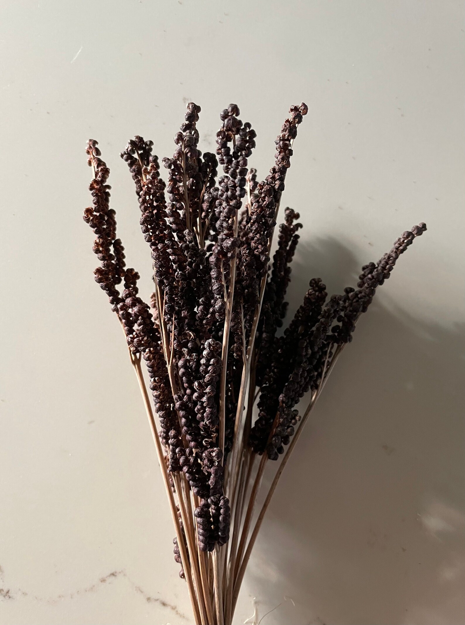 Fern Decor, Fern Fronds, Dried Floral Arrangement, Wedding Decor ...