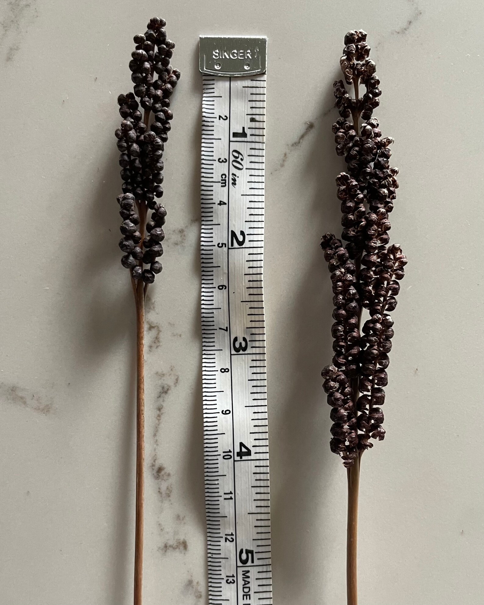 Fern Decor, Fern Fronds, Dried Floral Arrangement, Wedding Decor ...