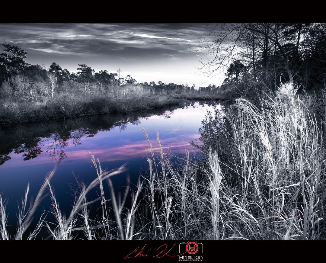 Heron Bayou, Color Black and White Mix, Landscape, Download, Fine Art ...