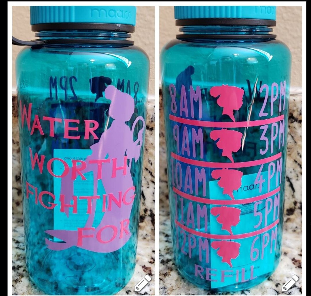 Water Worth Fighting for Mulan Disney Water Bottle Tracker/ Timeline ...