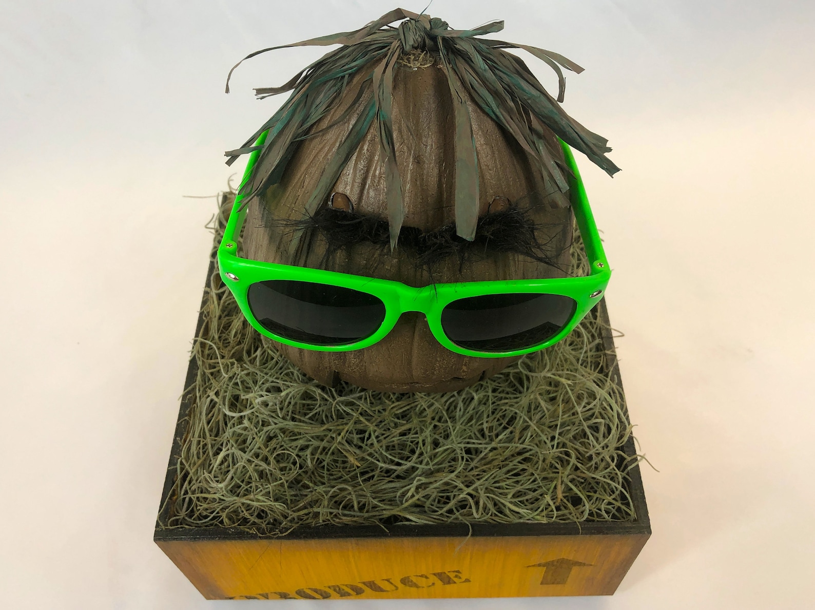 Singing Coconut Tiki Bar Accessory: Animated Hukilau Song - Etsy