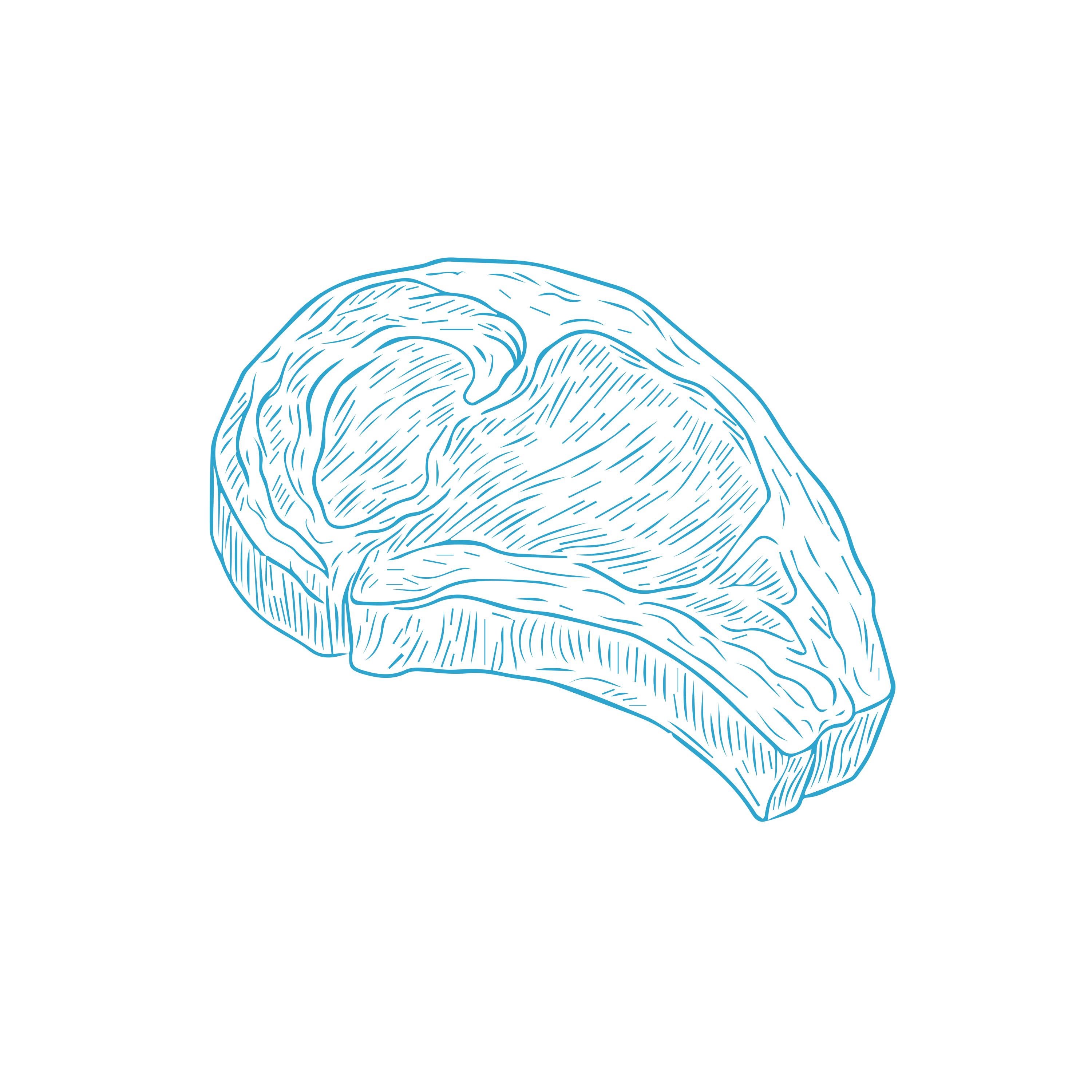 Ribeye Steak Vector Graphic | Meat Illustration Clipart | Png, Eps, AI ...