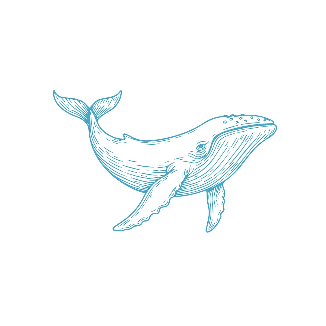 Whale Vector Graphic: Nautical Clipart for Sublimation (PNG, EPS, AI ...