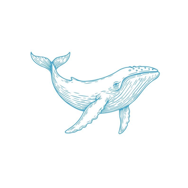 Whale Vector Graphic | Ocean Animal Clipart | PNG, EPS, AI | Nautical ...