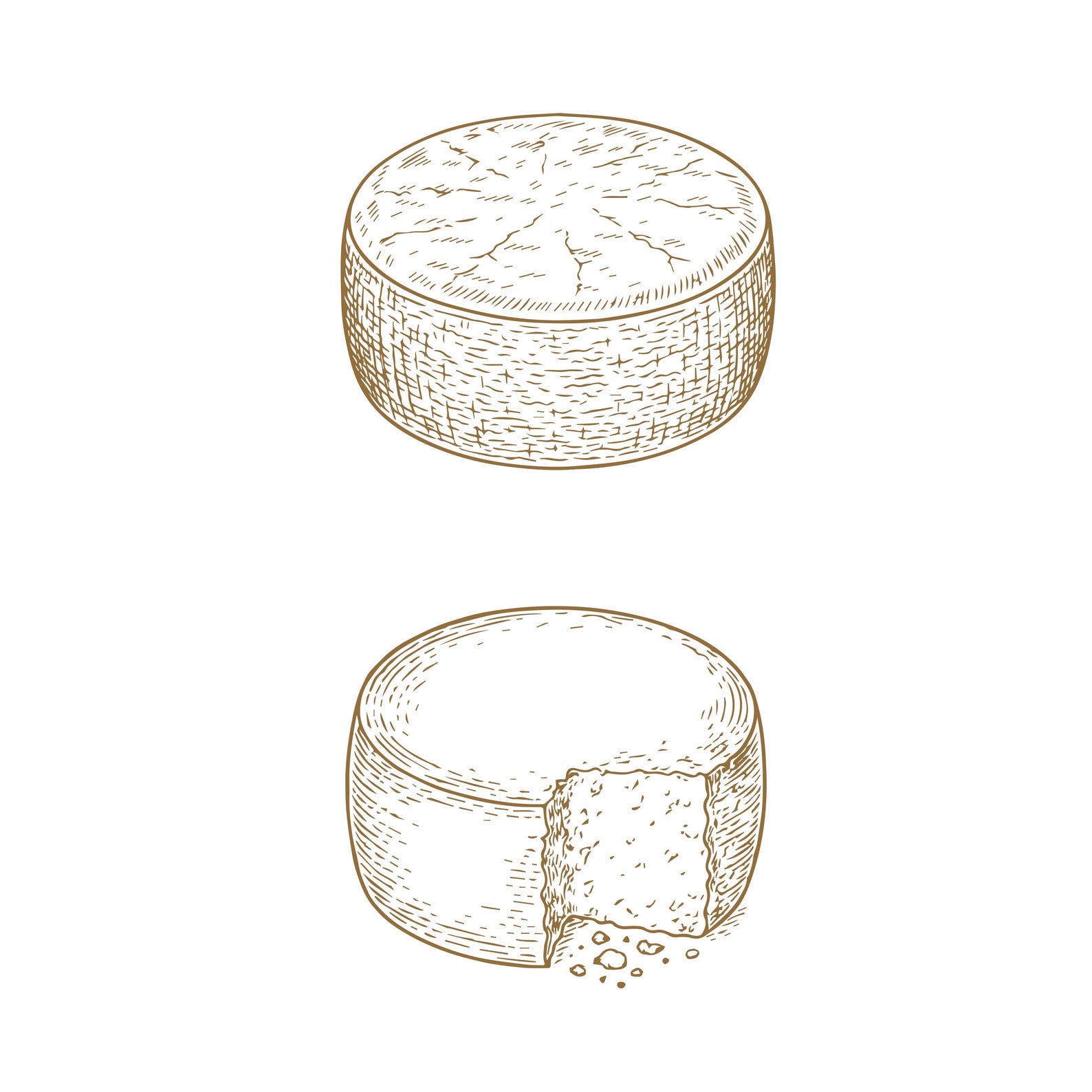 Parmesan Cheese Wheel Vector Graphic: Food Clipart (PNG, EPS, AI) - Etsy
