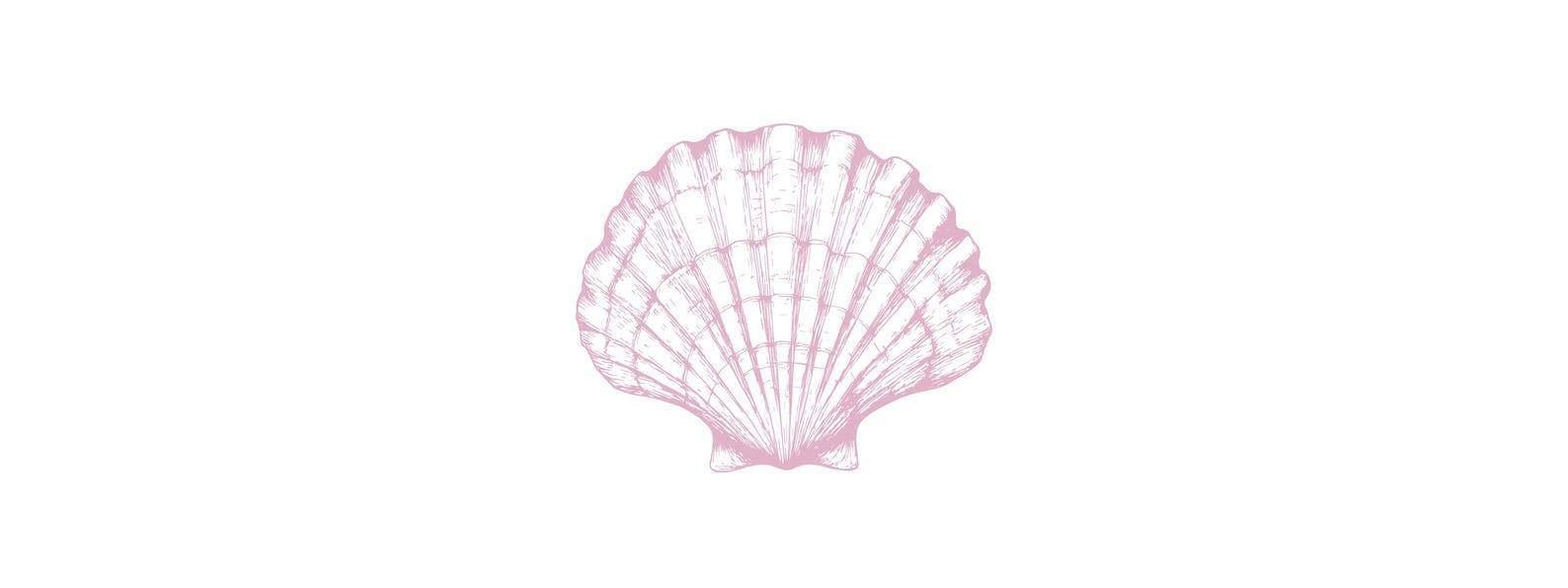 Scallop Shell Vector Illustration: Coastal Clipart (PNG, EPS, AI ...