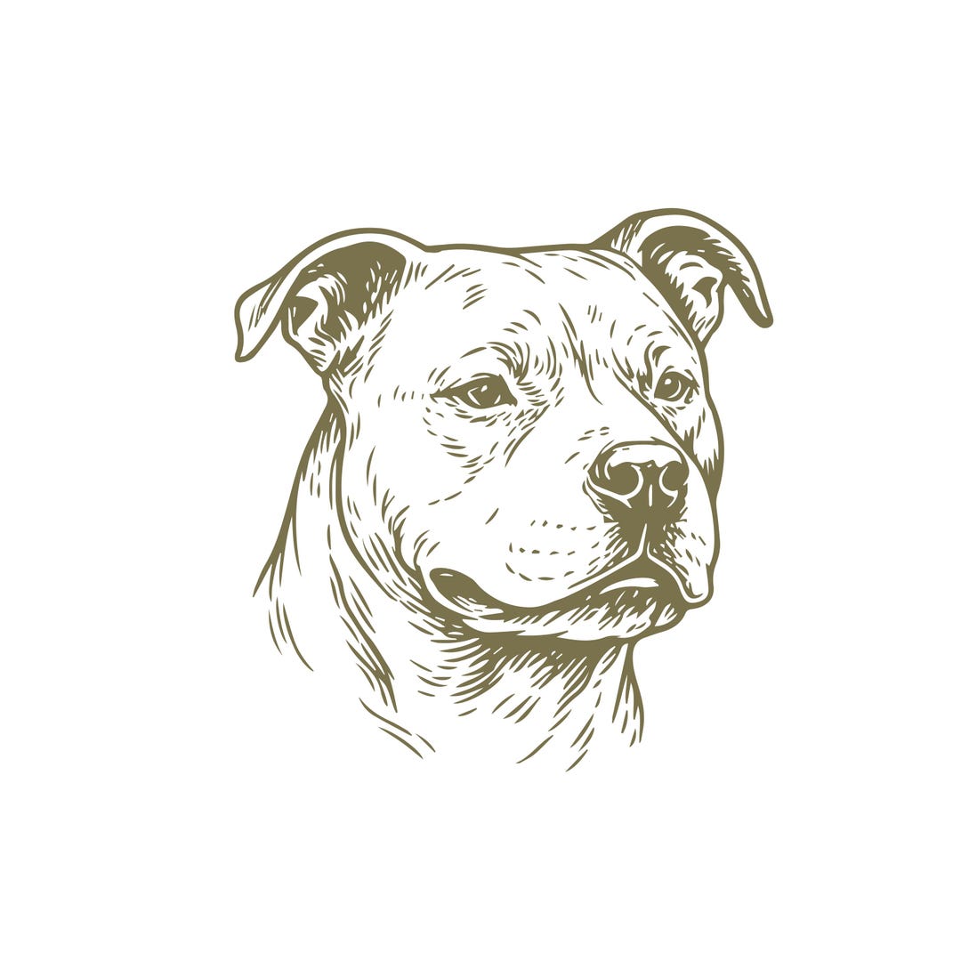 Pitbull Face Vector Drawing: Dog Clipart for T-shirts (digital Download ...