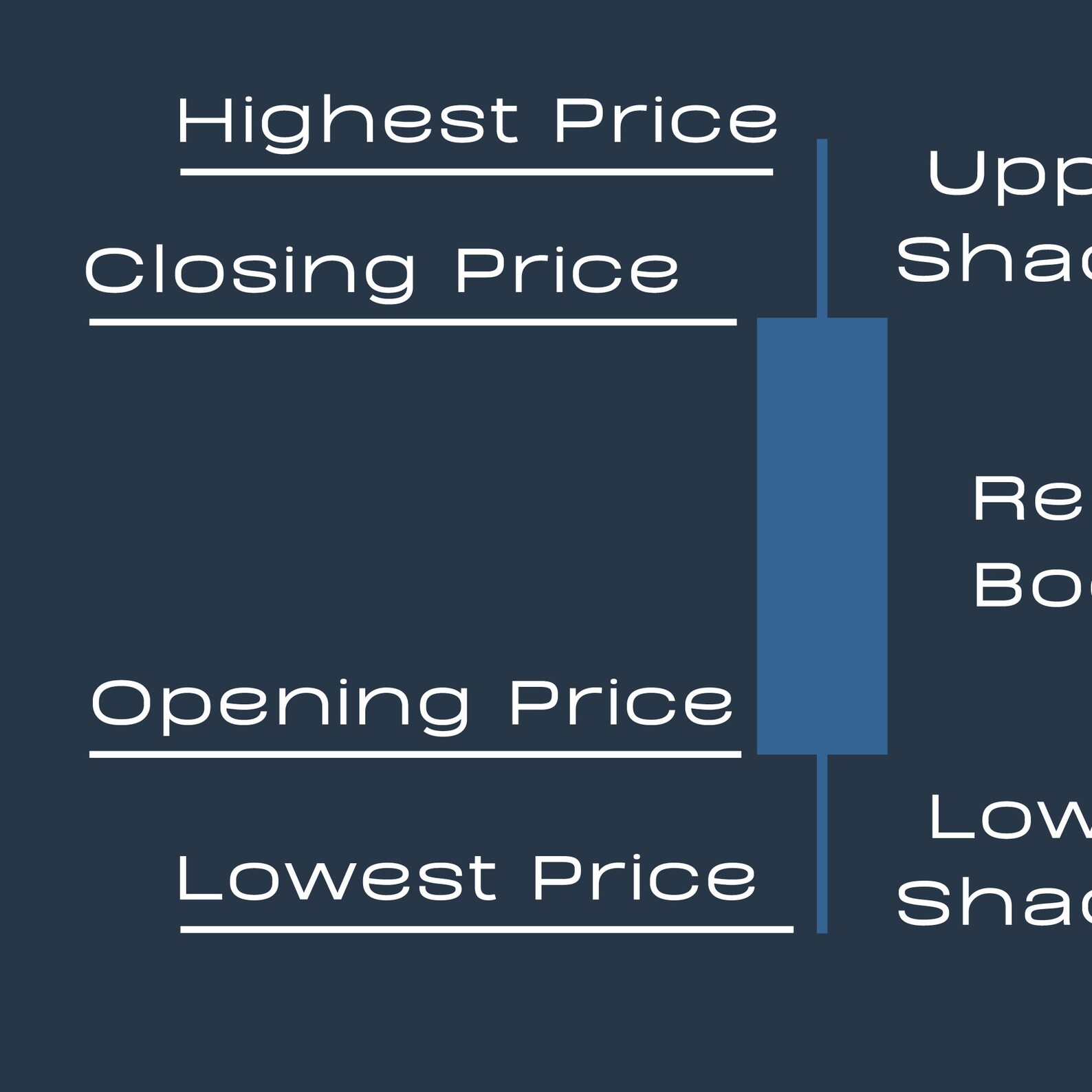 Candlestick Cheat Sheet Vector Wall Poster. Basic Candlesticks Chart ...