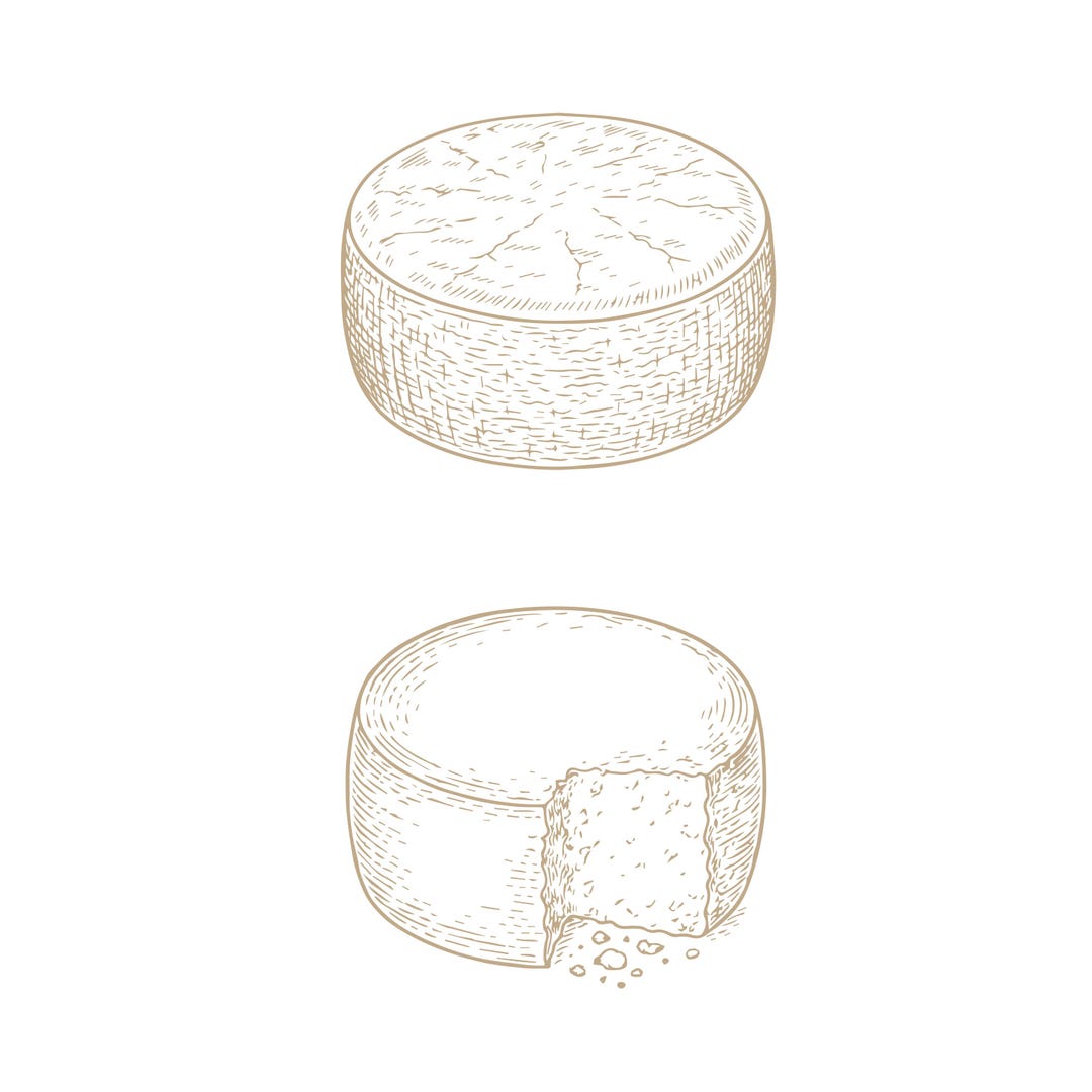 Parmesan Cheese Wheel Vector Graphic: Food Clipart (PNG, EPS, AI) - Etsy