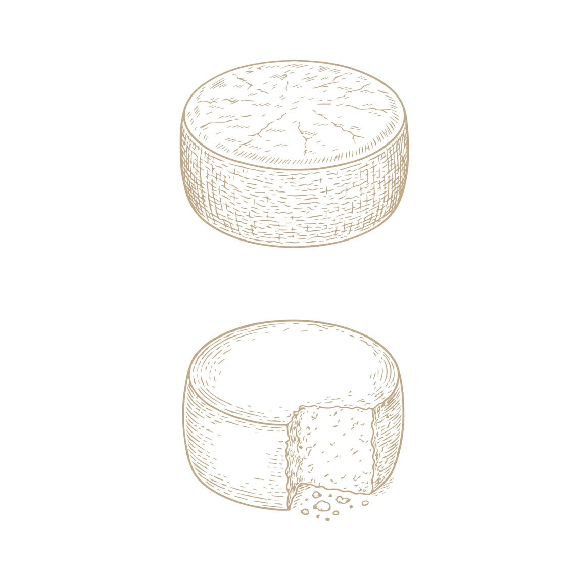 Parmesan Cheese Wheel Vector Graphic | Food Clipart | PNG, EPS, AI ...