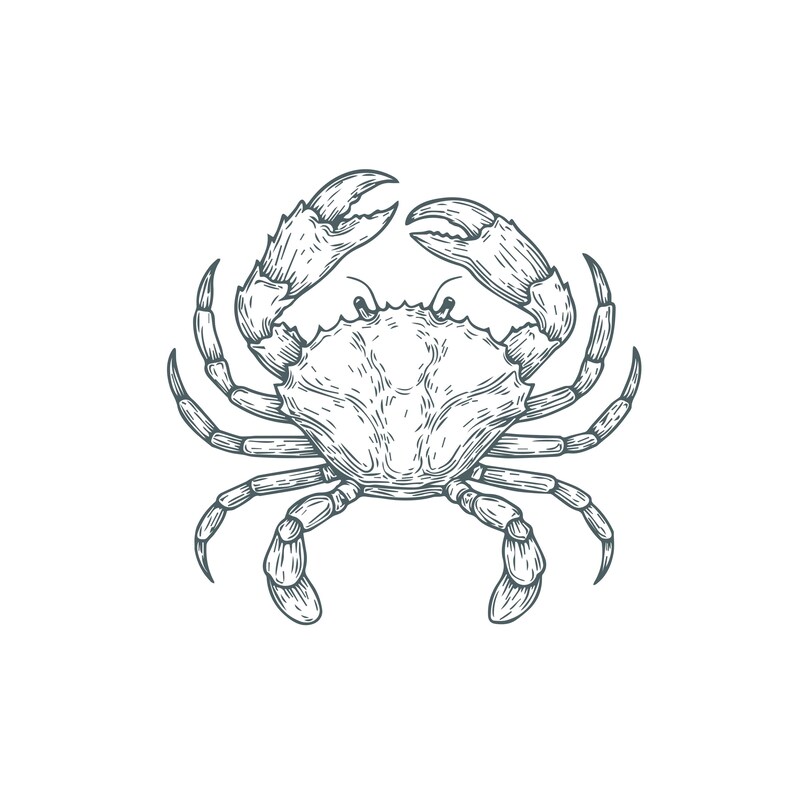 King Crab Vector Graphic | Seafood Coastal Clipart | PNG, EPS, AI ...