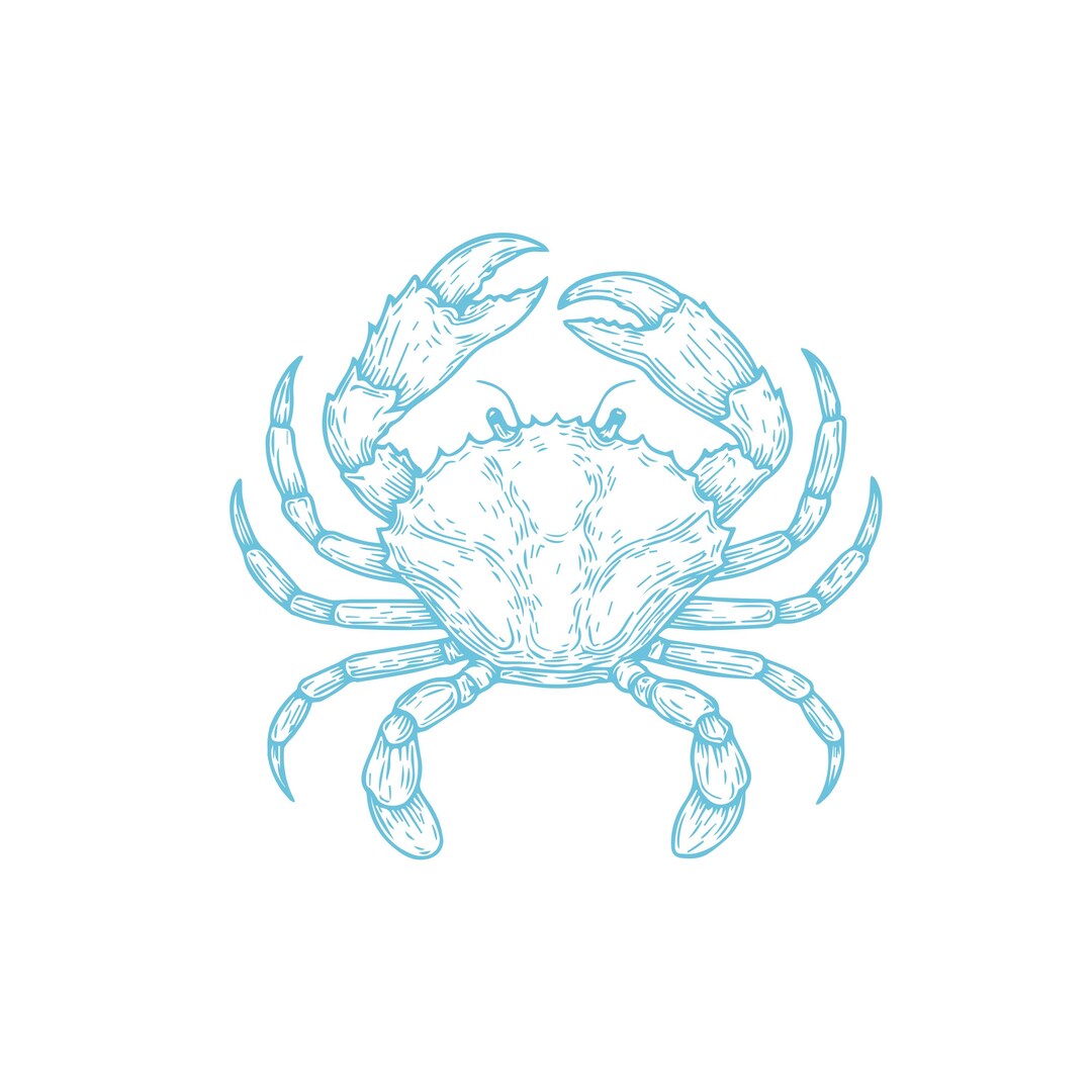 King Crab Vector Graphic | Seafood Coastal Clipart | PNG, EPS, AI ...