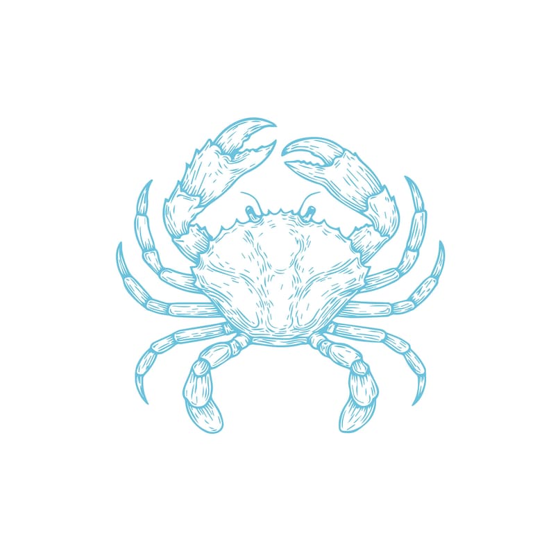 King Crab Vector Graphic | Seafood Coastal Clipart | PNG, EPS, AI ...