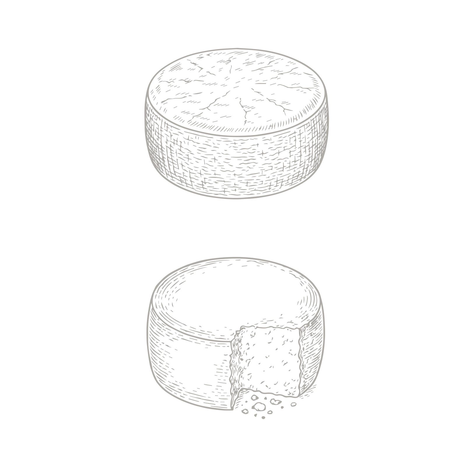 Parmesan Cheese Wheel Vector Graphic | Food Clipart | PNG, EPS, AI ...
