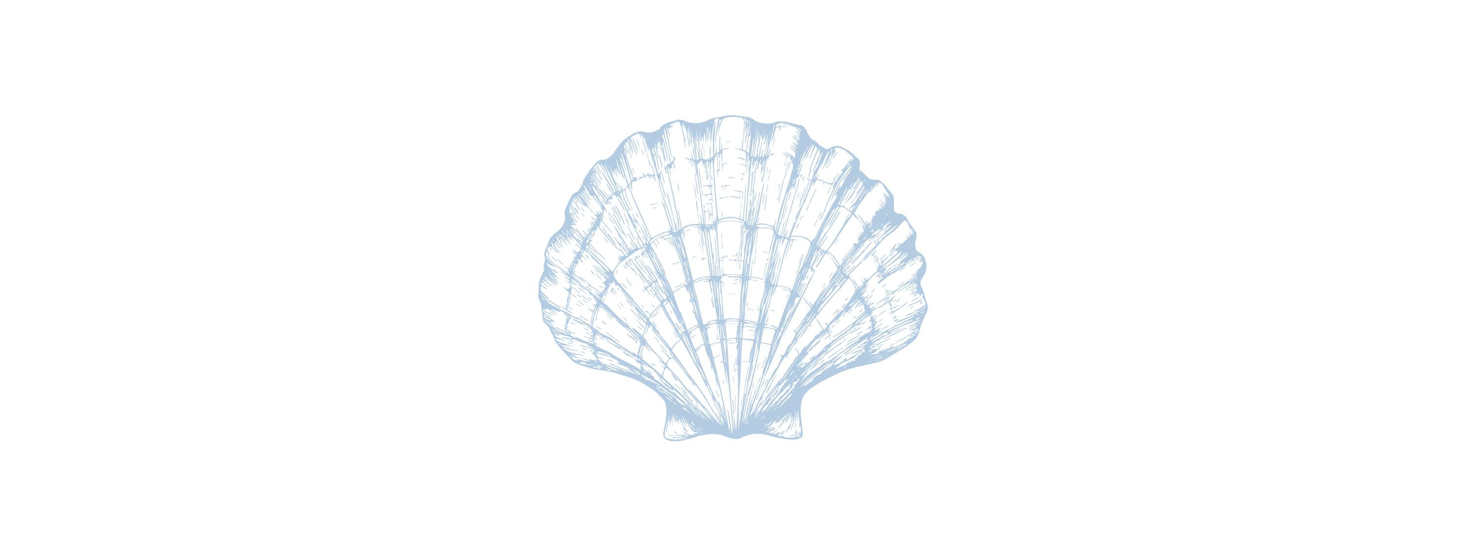 Scallop Shell Vector Illustration: Coastal Clipart (PNG, EPS, AI ...