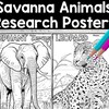 Mountain Animals Research Posters, Coloring Pages Animal Research ...