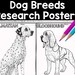 Dog Breeds Research Posters, Coloring Pages Animal Research Project for ...