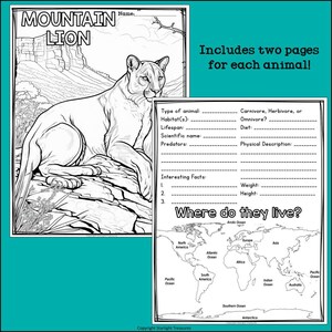 Mountain Animals Research Posters, Coloring Pages Animal Research ...
