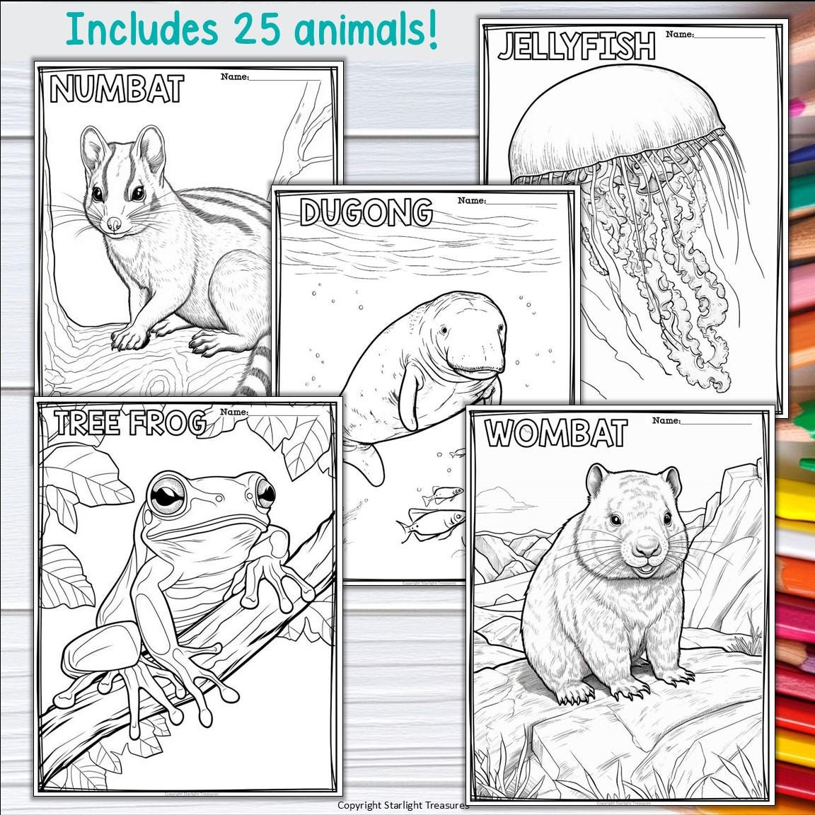 Australian Animals Research Posters, Coloring Pages - Animal Research ...