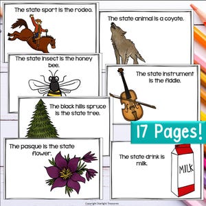 South Dakota Mini Book for Early Readers - A State Study - Etsy