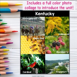 Kentucky Mini Book for Early Readers - A State Study - Etsy