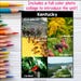 Kentucky Mini Book for Early Readers - A State Study - Etsy