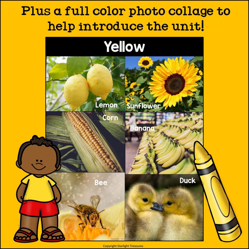 Colors of the Week: Yellow Mini Book for Early Readers - Etsy