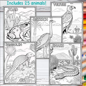 Desert Animals Research Posters, Coloring Pages - Animal Research ...