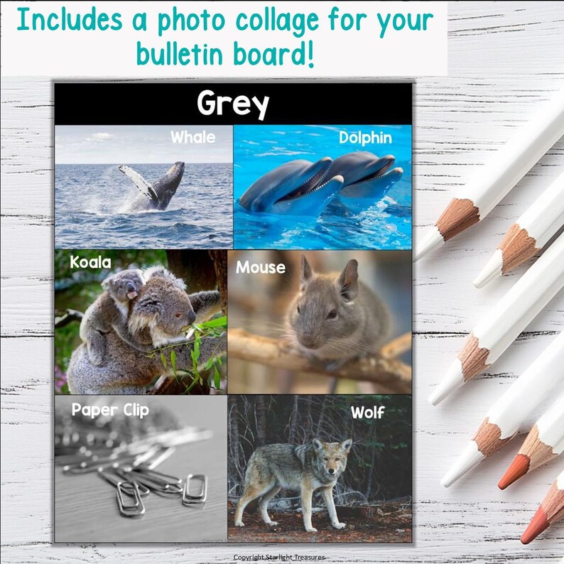 Colors of the Week: Gray/grey Mini Book for Early Readers - Etsy