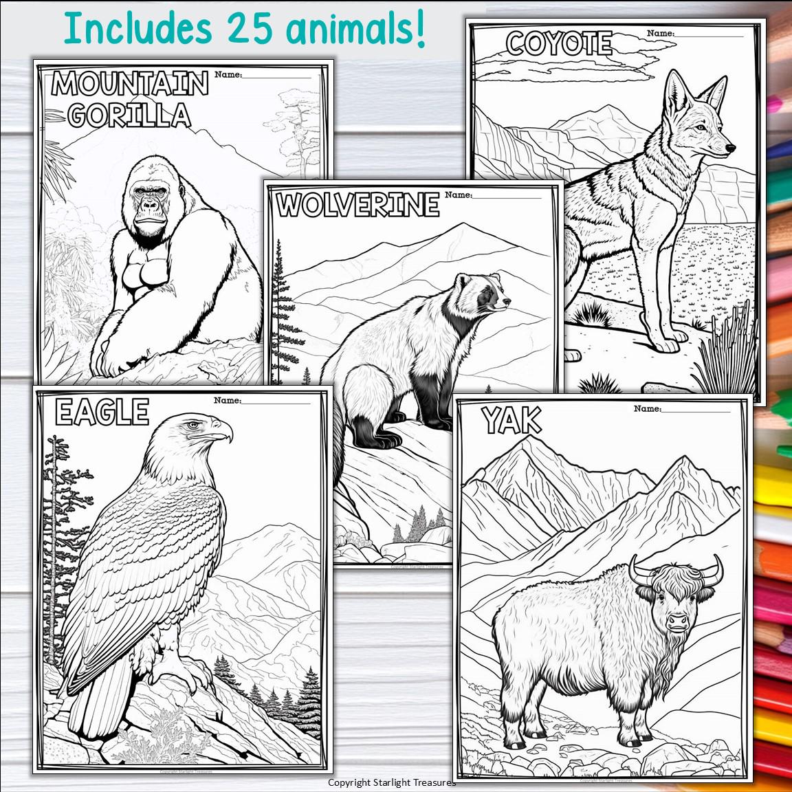 Mountain Animals Research Posters, Coloring Pages - Animal Research ...