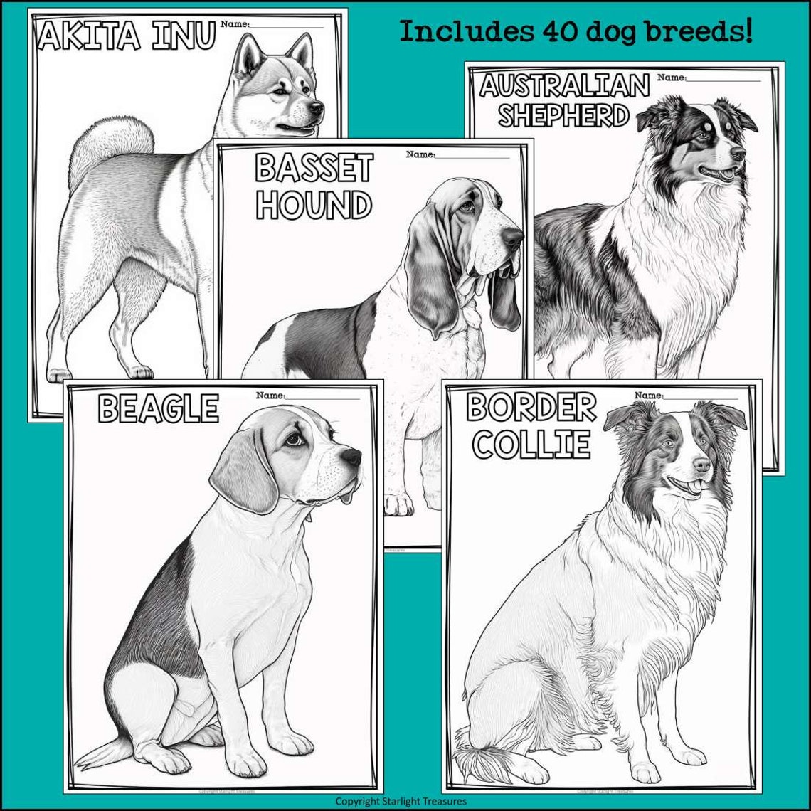 Dog Breeds Research Posters, Coloring Pages Animal Research Project for ...