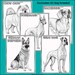 Dog Breeds Research Posters, Coloring Pages Animal Research Project for ...