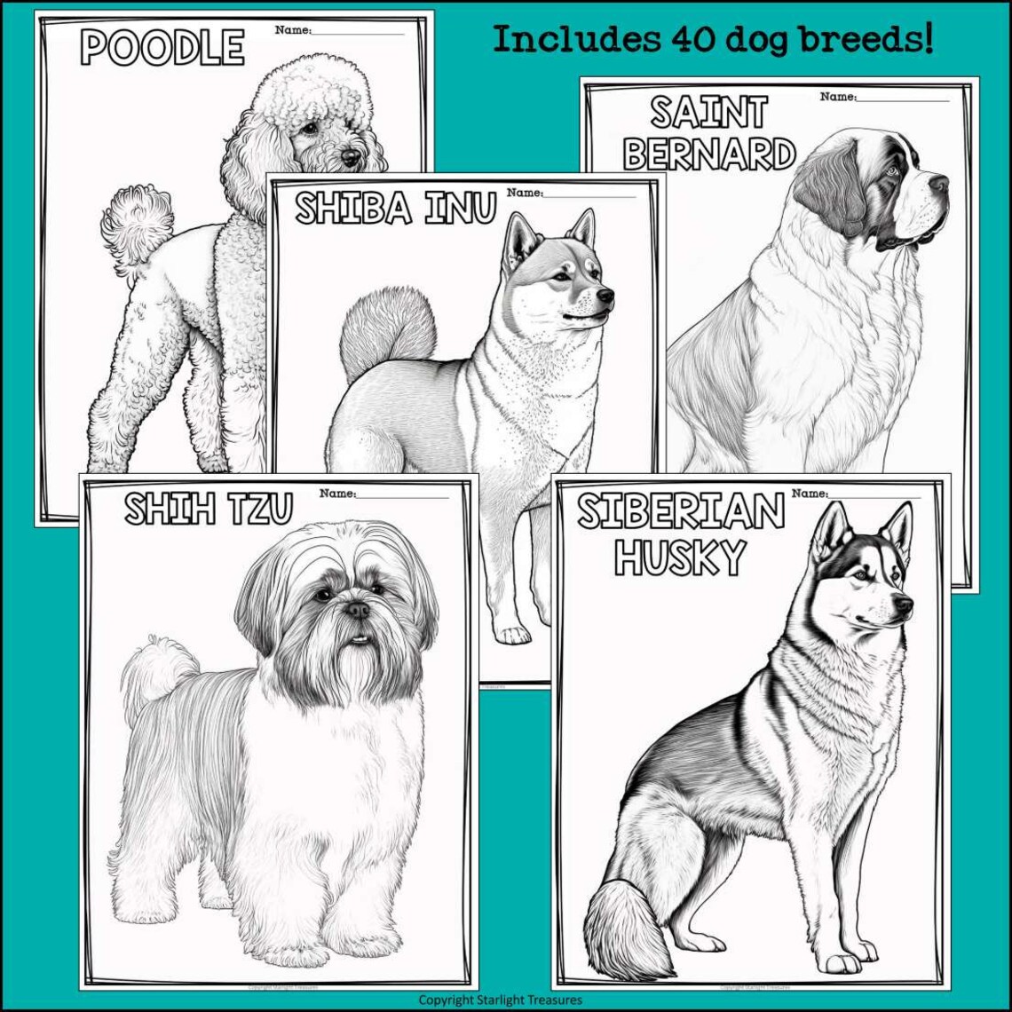 Dog Breeds Research Posters, Coloring Pages Animal Research Project for ...