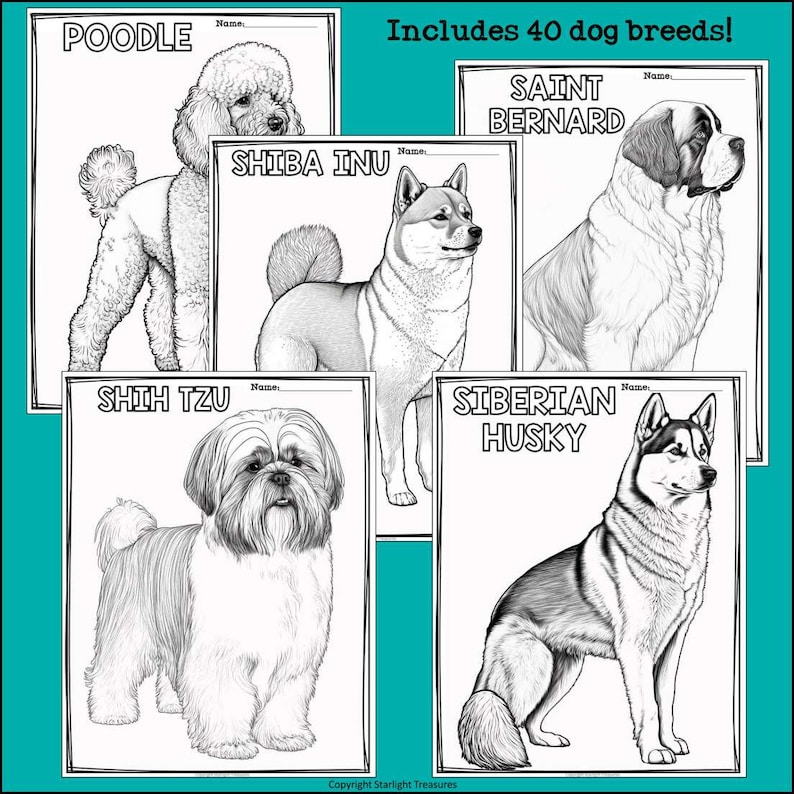 Dog Breeds Research Posters, Coloring Pages Animal Research Project for ...