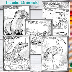 Wetland Animals Research Posters, Coloring Pages - Animal Research ...