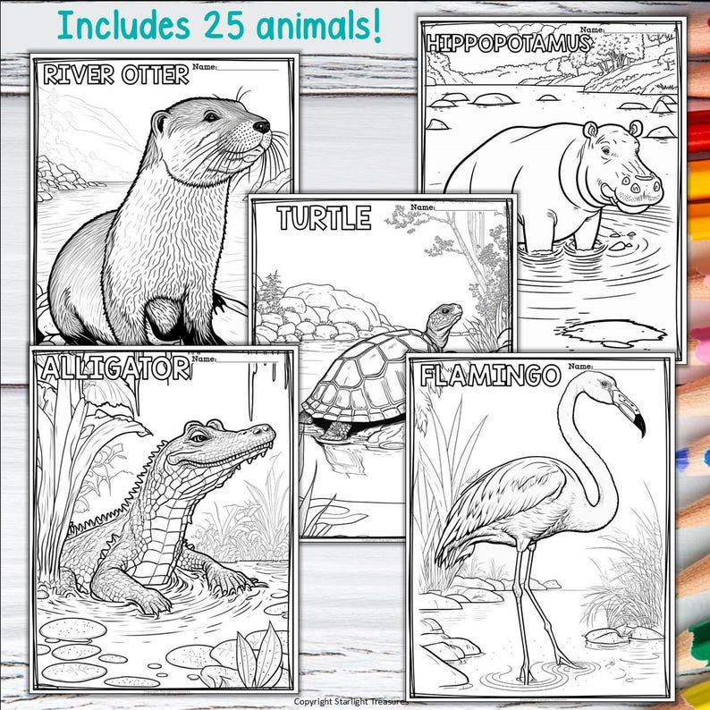 Wetland Animals Research Posters, Coloring Pages - Animal Research ...
